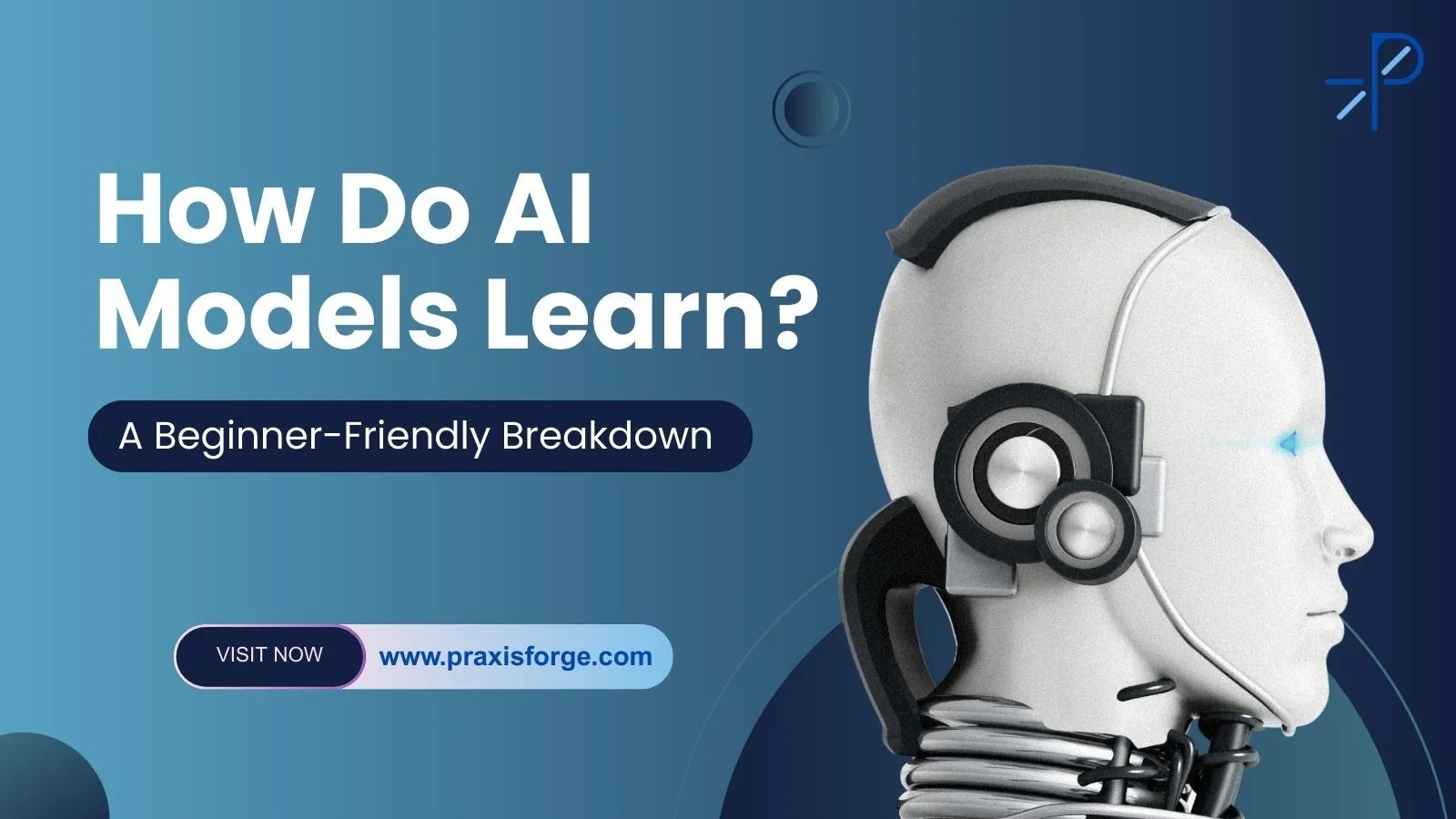 How AI Models Learn: A Beginner Breakdown | Praxis Forge
